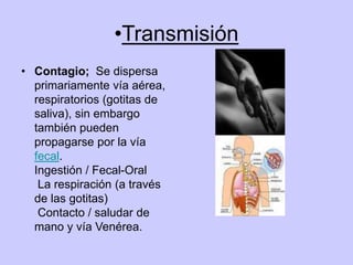 Adenoviru.ppt
