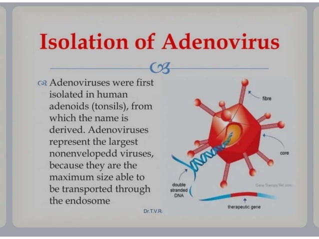 Adeno virues.pptx