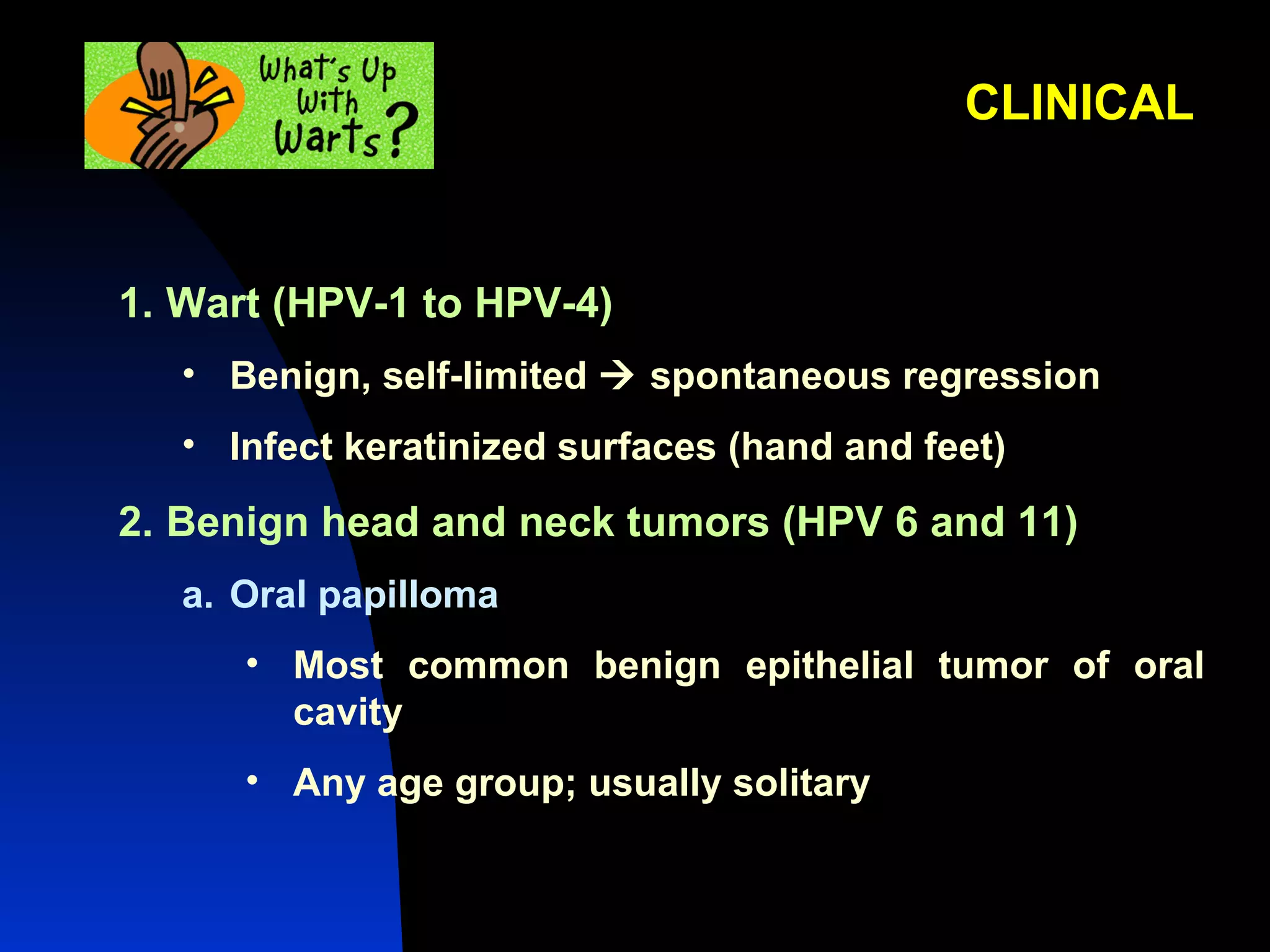 Adenovirus.micro | PPT