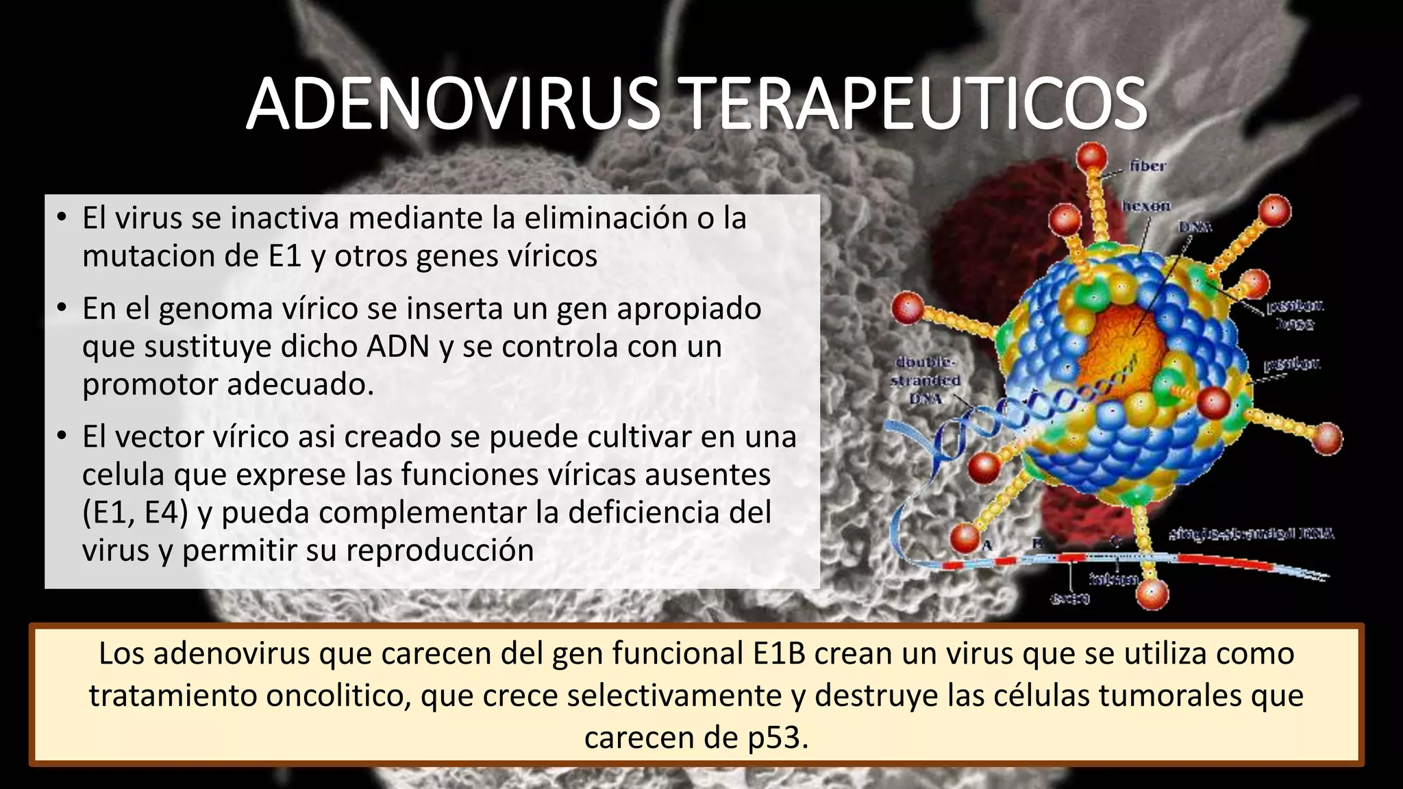 Adenovirus | PPTX