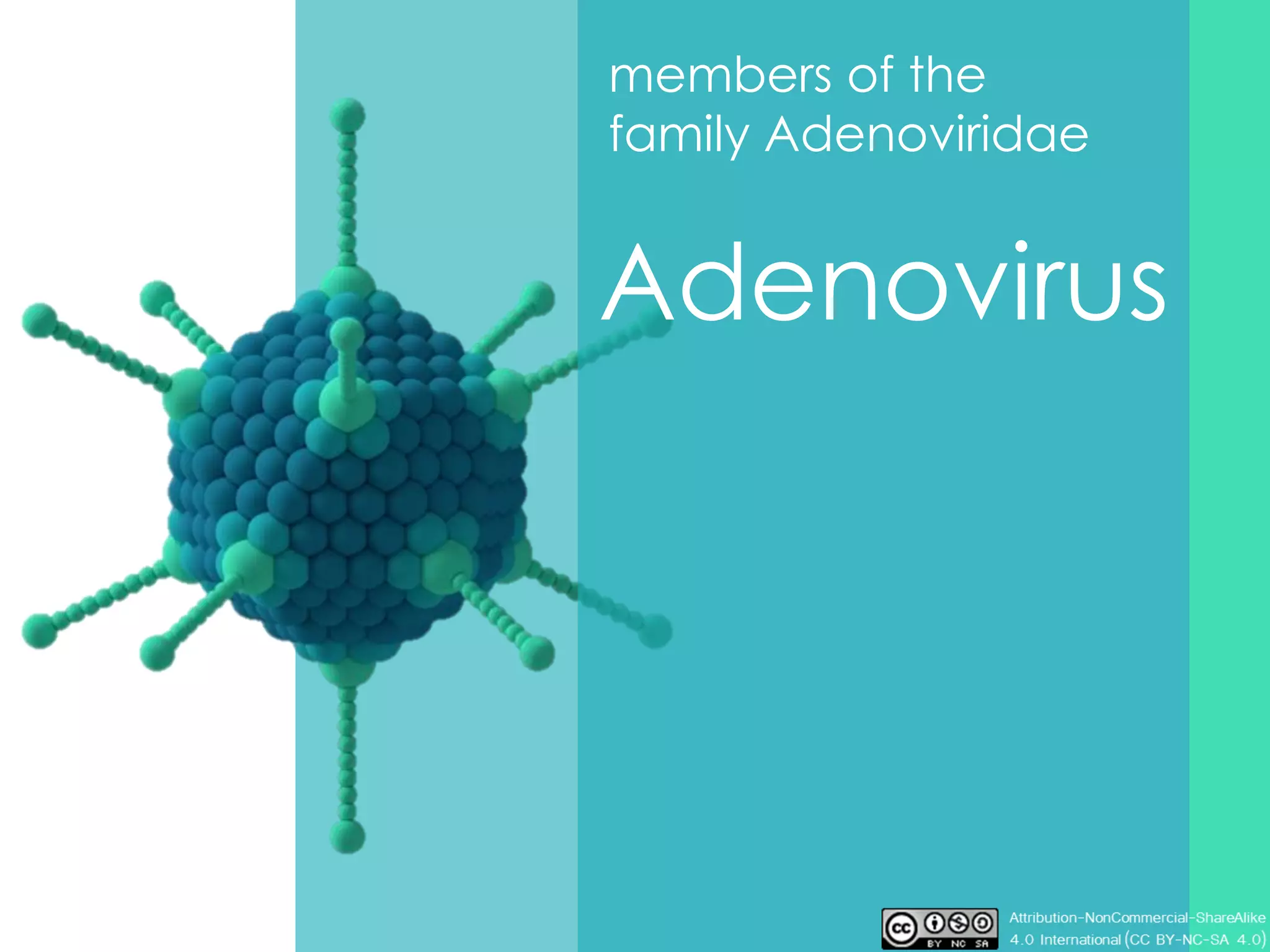 Adenovirus | PDF