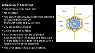 Adenovirus | PPTX