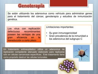 Descripción de Adenovirus Humano. Adenov | PPTX