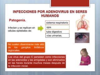 Descripción de Adenovirus Humano. Adenov | PPTX
