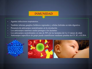 Descripción de Adenovirus Humano. Adenov | PPTX