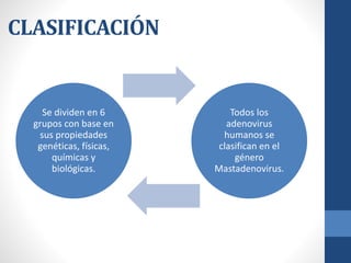 Descripción de Adenovirus Humano. Adenov | PPTX