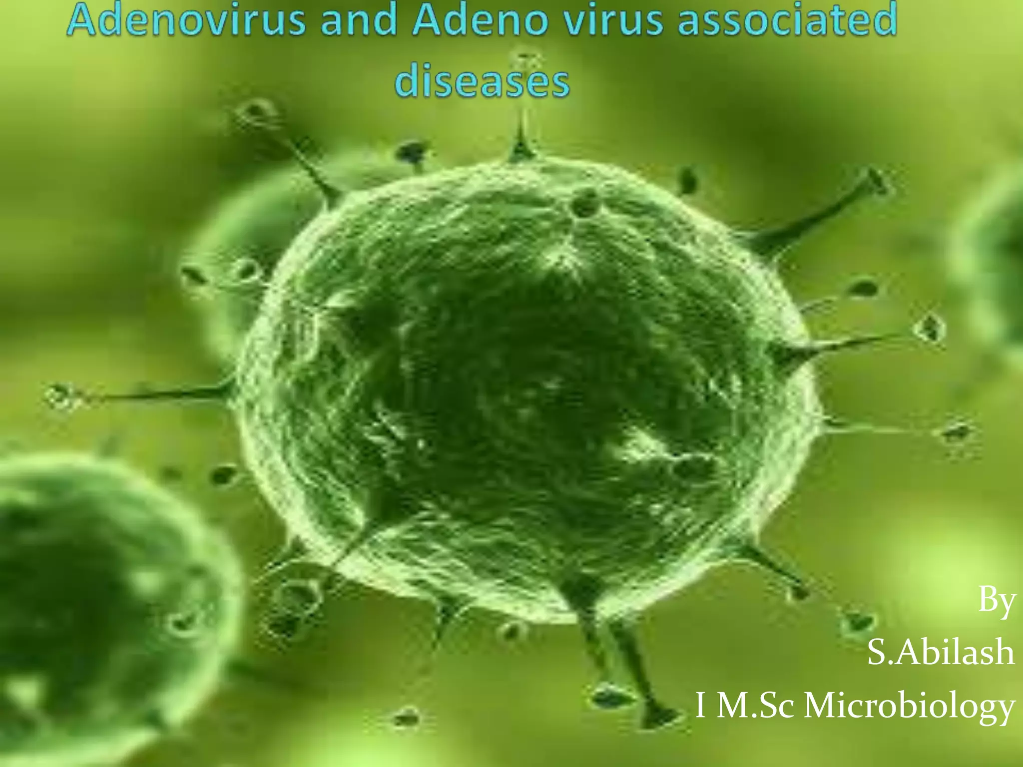 Adenovirus and adeno virus associated diseases | PPTX