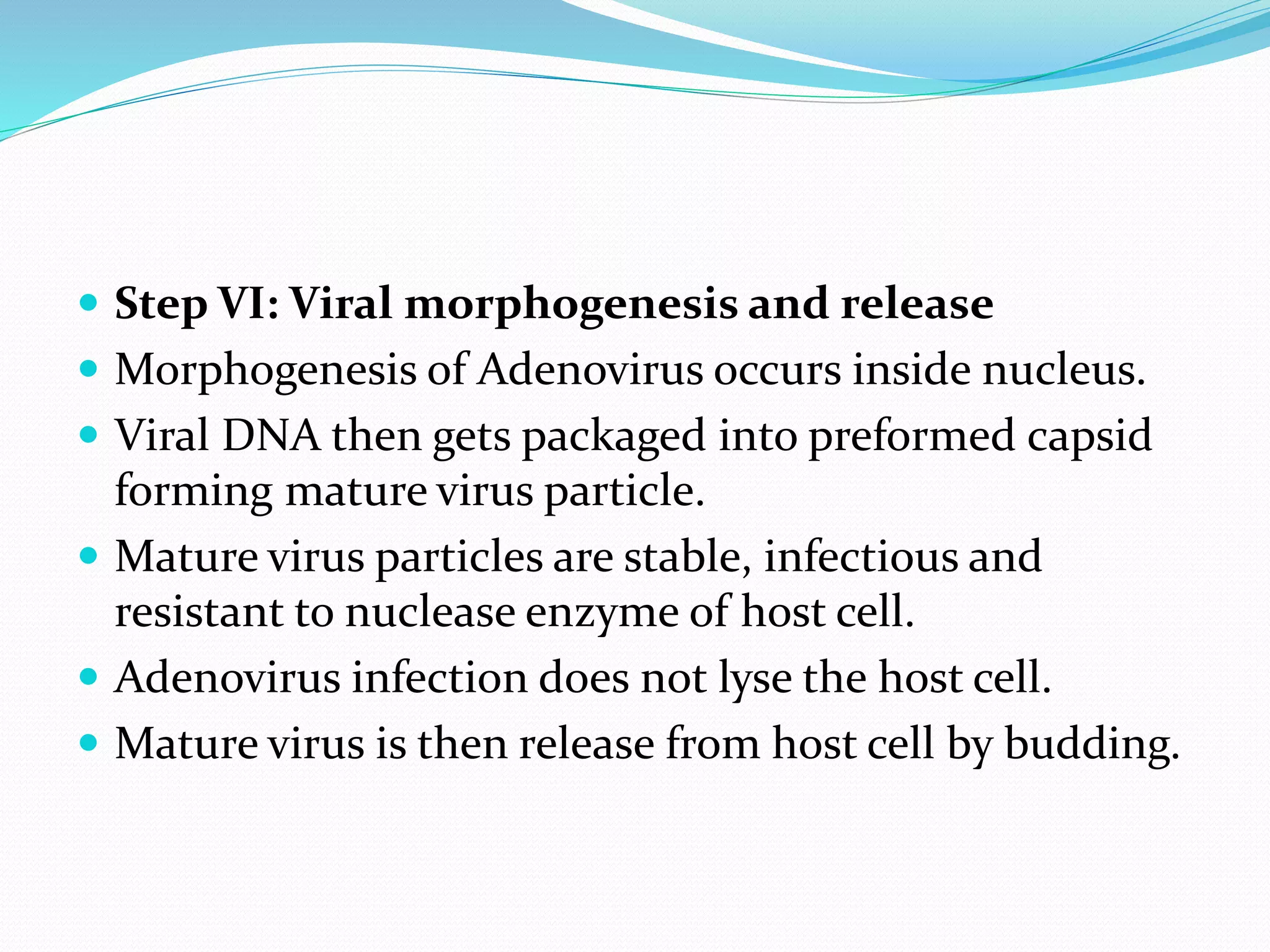 Adenovirus and adeno virus associated diseases | PPTX