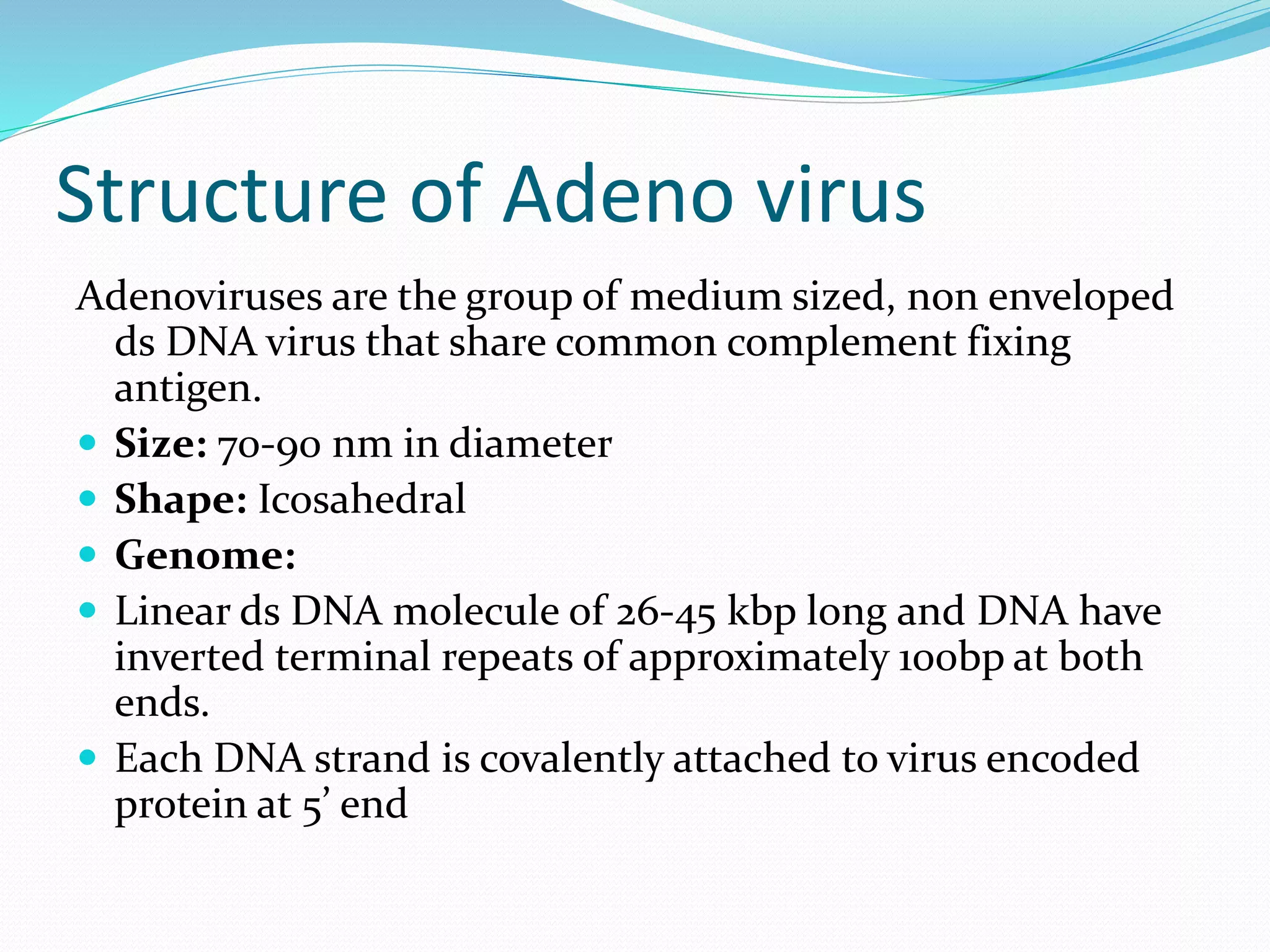 Adenovirus and adeno virus associated diseases | PPTX