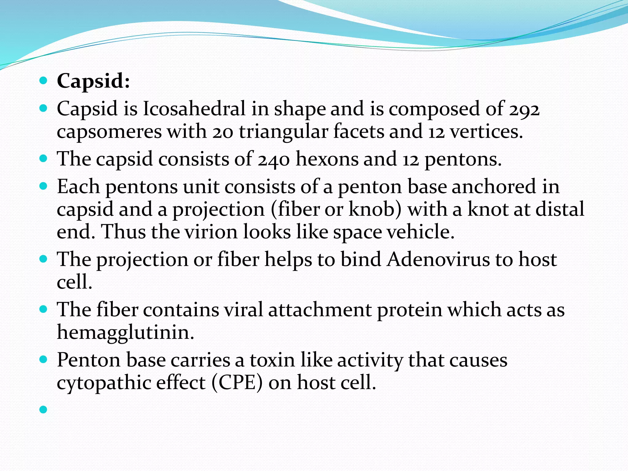 Adenovirus and adeno virus associated diseases | PPTX