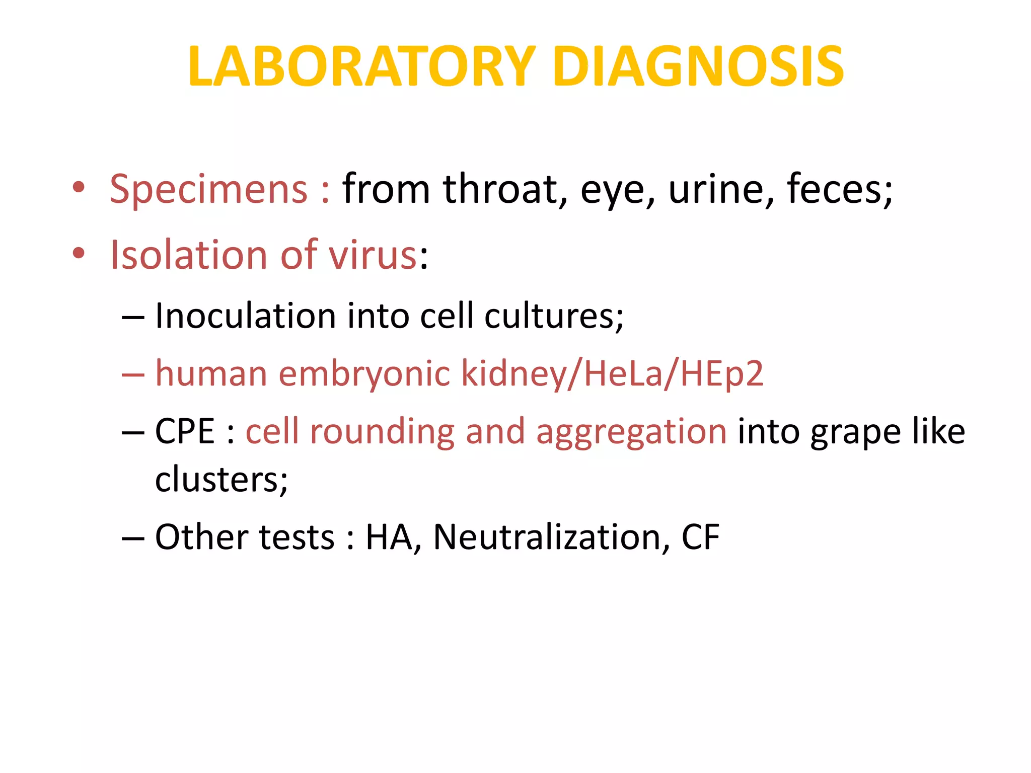 Adenoviruses | PPTX