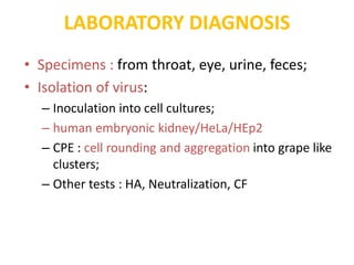 Adenoviruses | PPTX