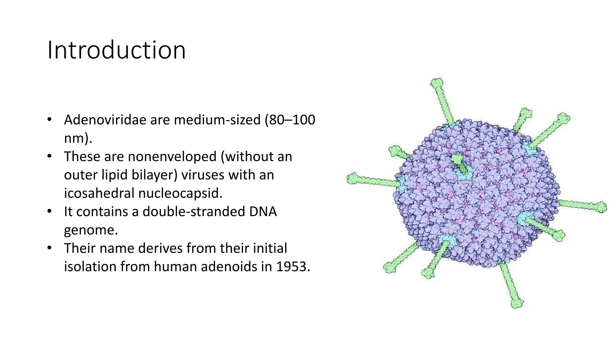 Adeno Viruses Introduction History and Its TYPES | PPTX | Infectious Diseases | Diseases and ...