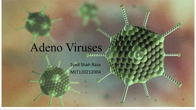 Adeno Viruses Introduction History and Its TYPES | PPT