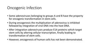 Adeno Viruses Introduction History and Its TYPES | PPTX