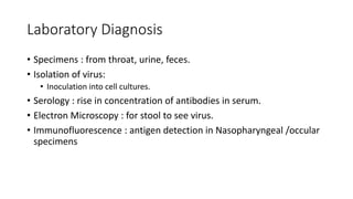 Adeno Viruses Introduction History and Its TYPES | PPTX | Infectious ...