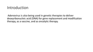 ADENOVIRUSES.pptx By Dr. Maryam Magu University of Maiduguri | PPT