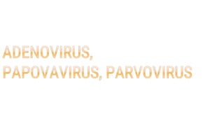 Adenovirus, papovavirus, parvovirus.pptx