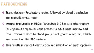 Adenovirus, papovavirus, parvovirus.pptx
