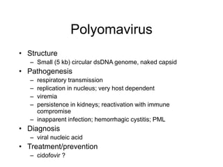 Adenovirus, parvovirus, polyomavirus.ppt