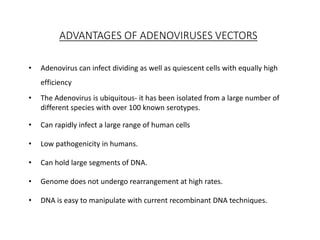 Adenovirus as an animal vector | PPTX