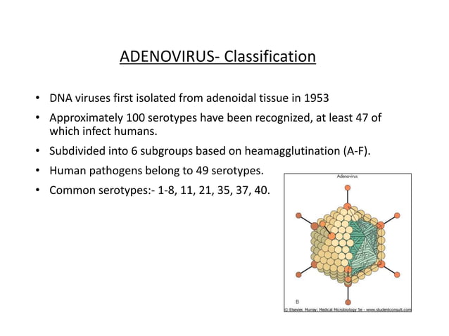 Adenovirus as an animal vector | PPTX