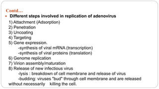 Presentation on Adenovirus | PPTX