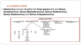 Presentation on Adenovirus | PPTX