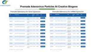 Adenovirus Services | PPT