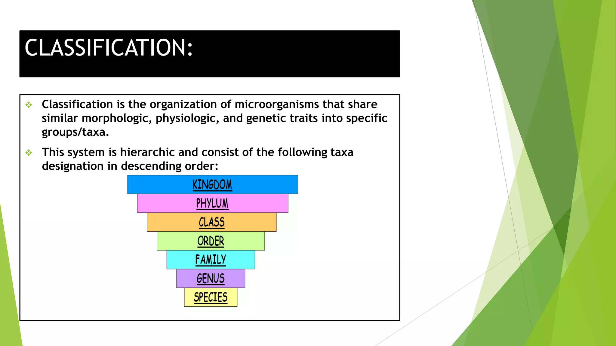 Adensonian classification | PPTX