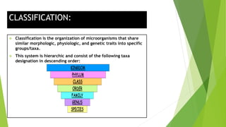 Adensonian classification | PPTX