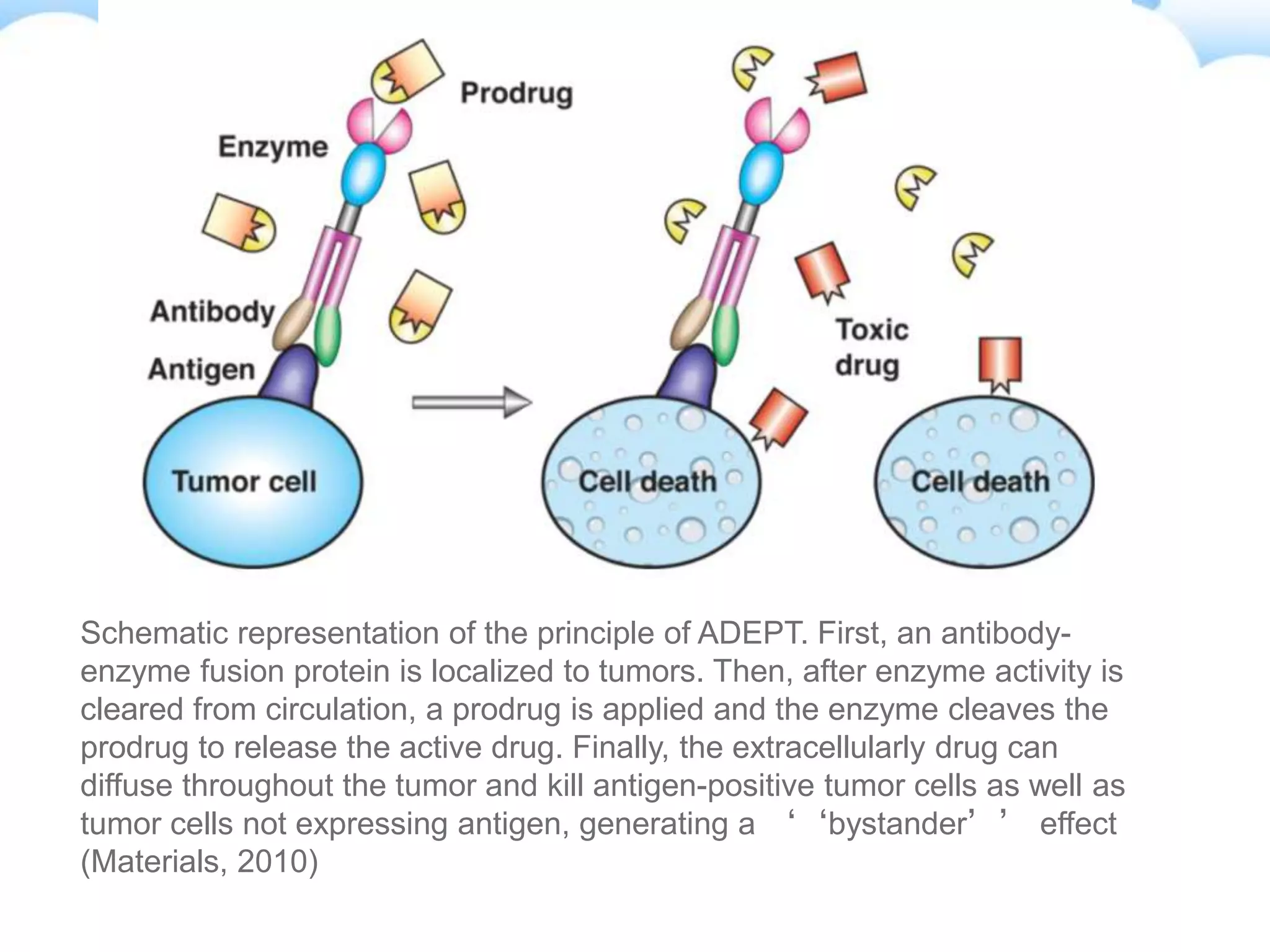 Adept antibody | PPTX