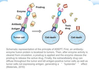 Adept antibody | PPTX