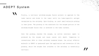 Adept antibody | PPT