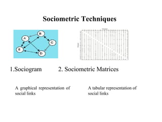 Sociometry | PPT