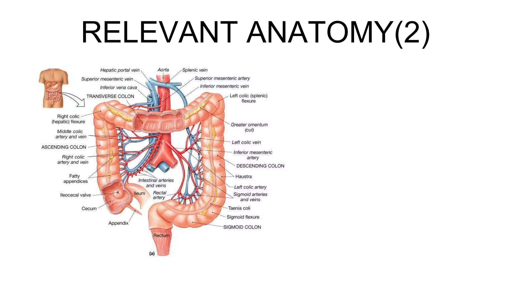 lower gastrointestinal bleeding ppt | PPTX
