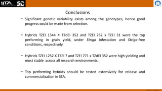Grain yield performance and stability of early maturing maize hybrids ...