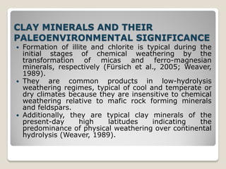 Paleoenvironmental significance of clay minerals | PDF