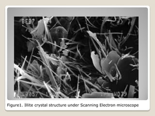 Paleoenvironmental significance of clay minerals | PDF