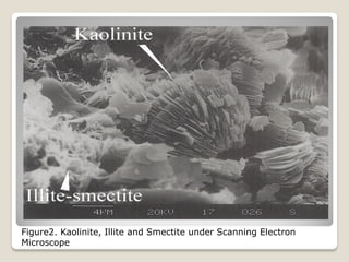 Paleoenvironmental significance of clay minerals | PDF