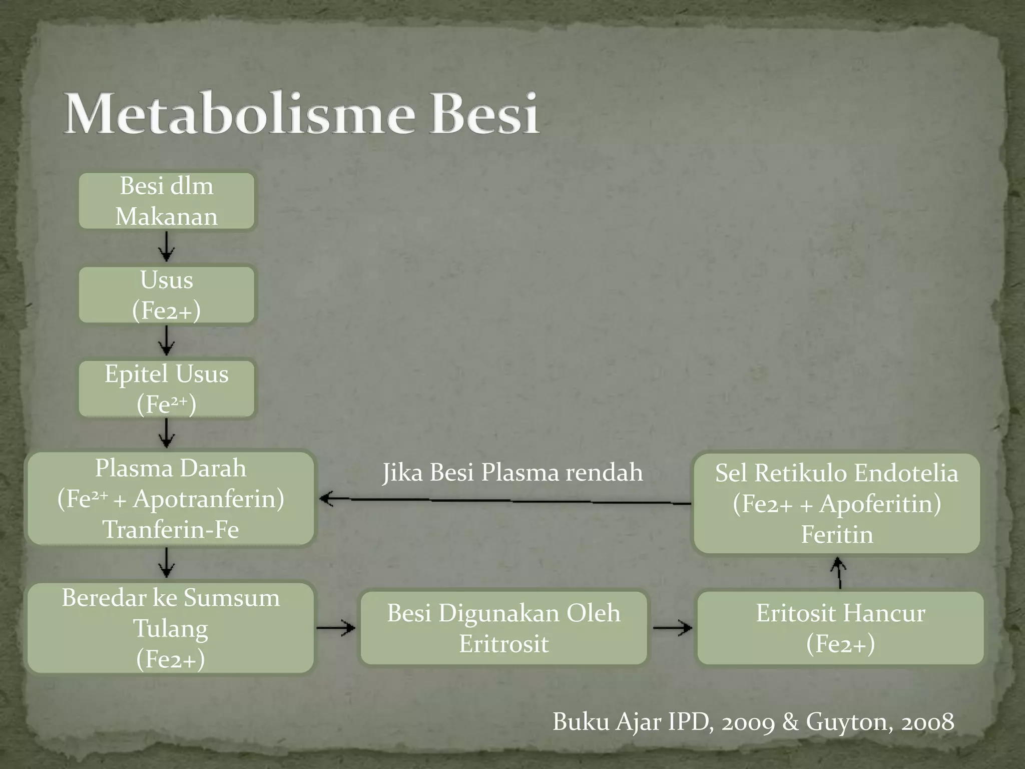 Anemia Defisiensi Besi | PPTX