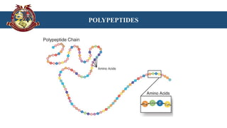 Protiens and polypeptides.pptx