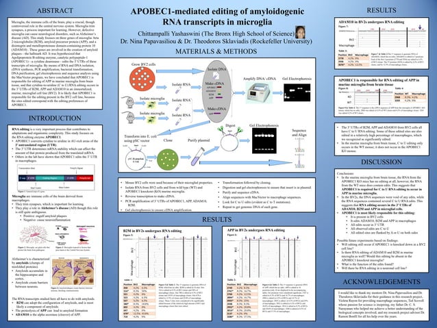 APOBEC1-mediated editing of amyloidogenic RNA transcripts in microglia ...
