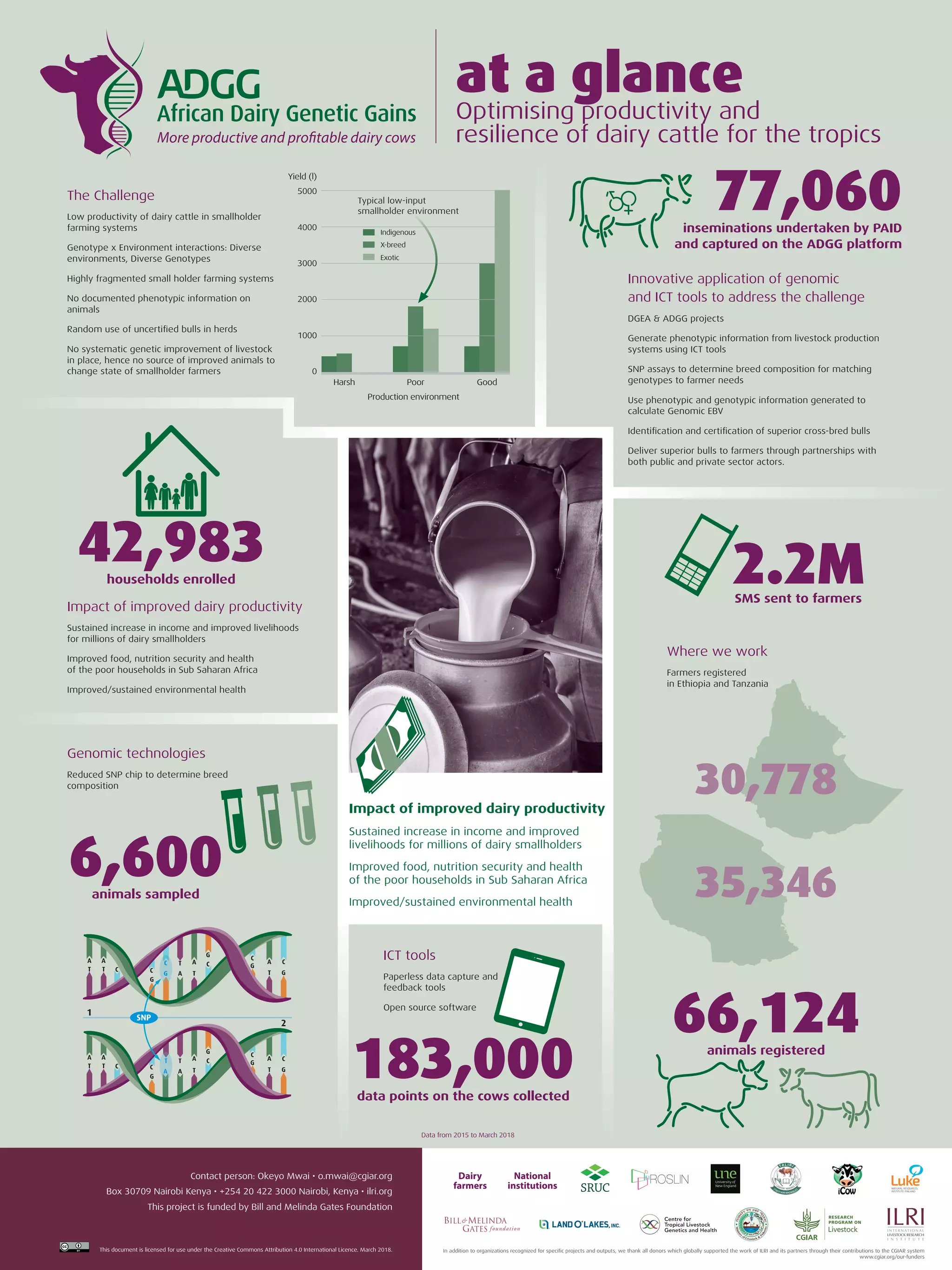 African Dairy Genetic Gains (ADGG) at a glance: Optimising productivity ...