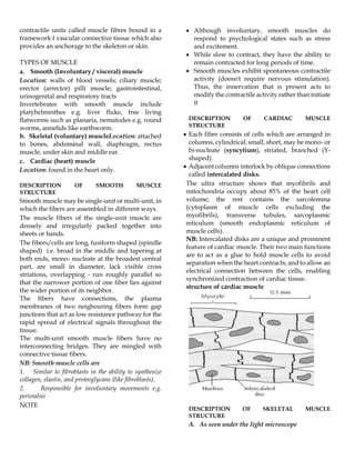 SUPPORT AND LOCOMOTION NOTES FOR UACE.pdf