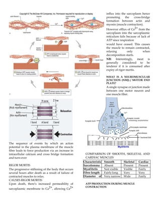 SUPPORT AND LOCOMOTION NOTES FOR UACE.pdf