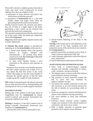 SUPPORT AND LOCOMOTION NOTES FOR UACE.pdf
