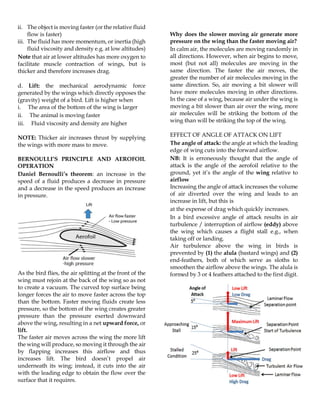 SUPPORT AND LOCOMOTION NOTES FOR UACE.pdf