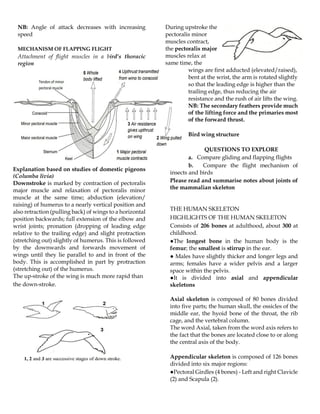 SUPPORT AND LOCOMOTION NOTES FOR UACE.pdf