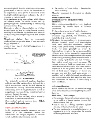 SUPPORT AND LOCOMOTION NOTES FOR UACE.pdf